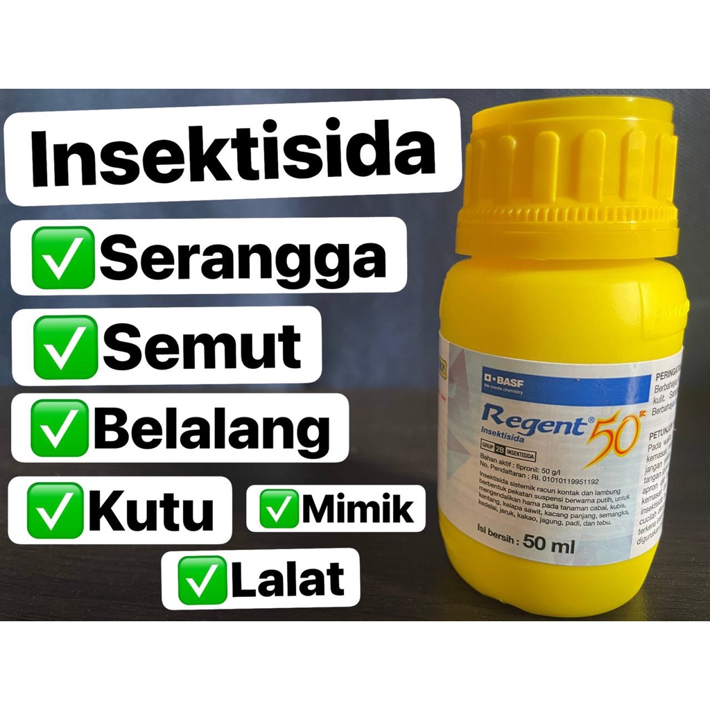 Jual Regent 50, Racun Semut, Obat Hama Rayap, Serangga, Insektisida ...