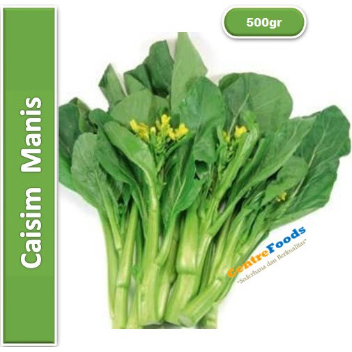 Jual Sayur Caisim Manis Lokal Segar - Caisim Baby Fresh | 500gr [ Harga ...