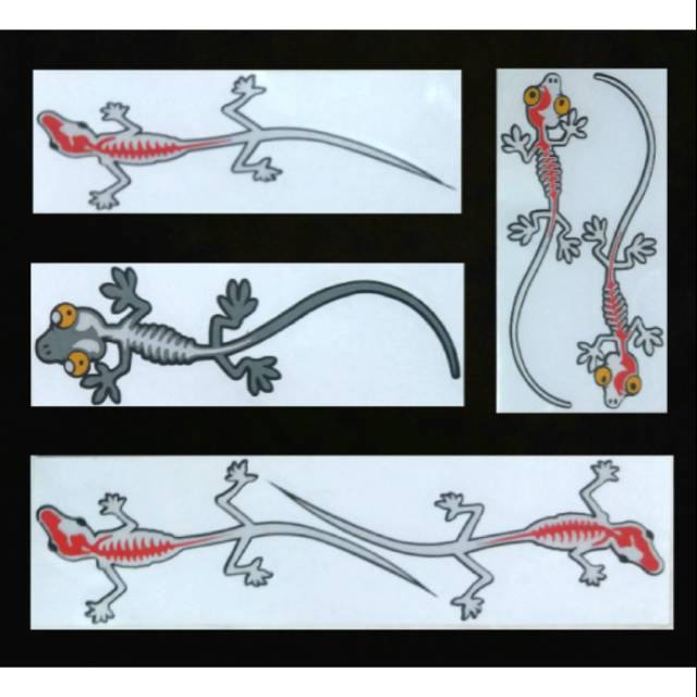 Jual STICKER CICAK CUTTING | Shopee Indonesia