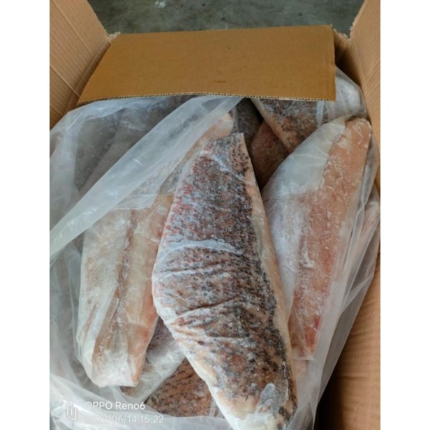 Jual ikan beku fillet kakap merah skin on 1kg | Shopee Indonesia