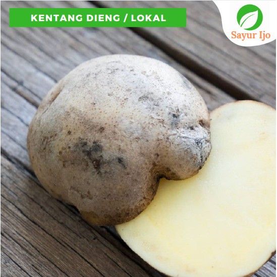 Jual Kentang Dieng Kuning Lokal 480 - 500 Gram Size Sedang Fresh Potato ...