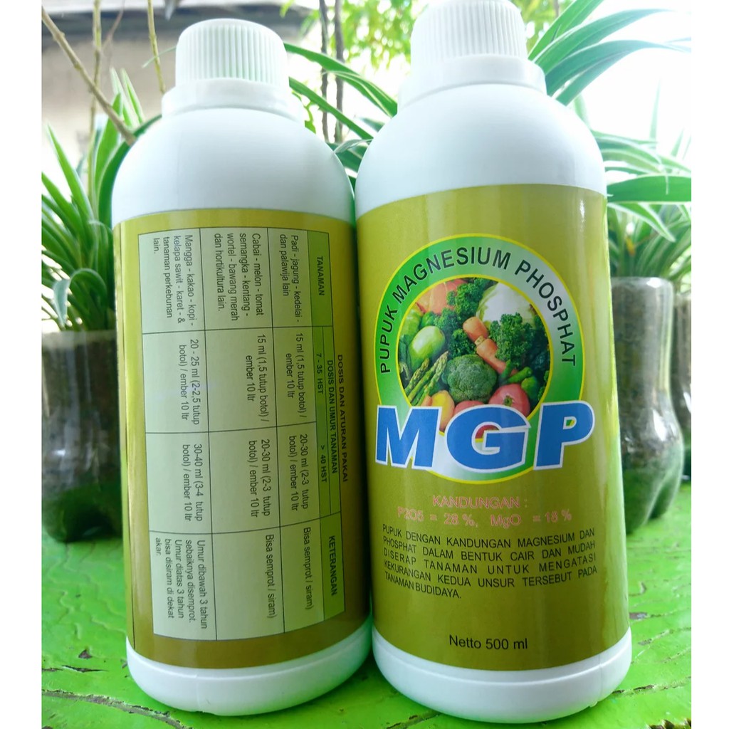 Jual MGP Pupuk Magnesium Phospat 500ml | Shopee Indonesia