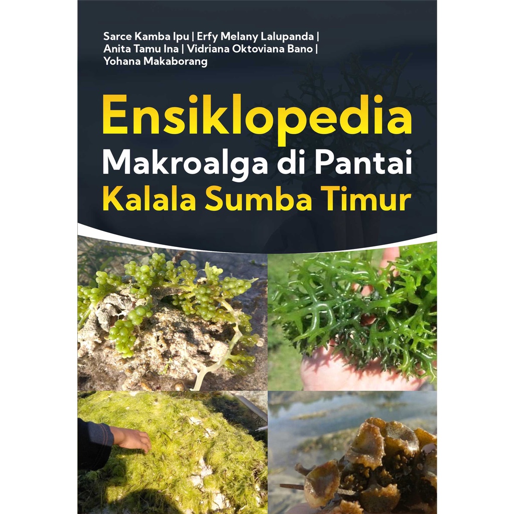 Jual Deepublish - Buku Ensiklopedia Makroalga Di Pantai Kalala Sumba ...