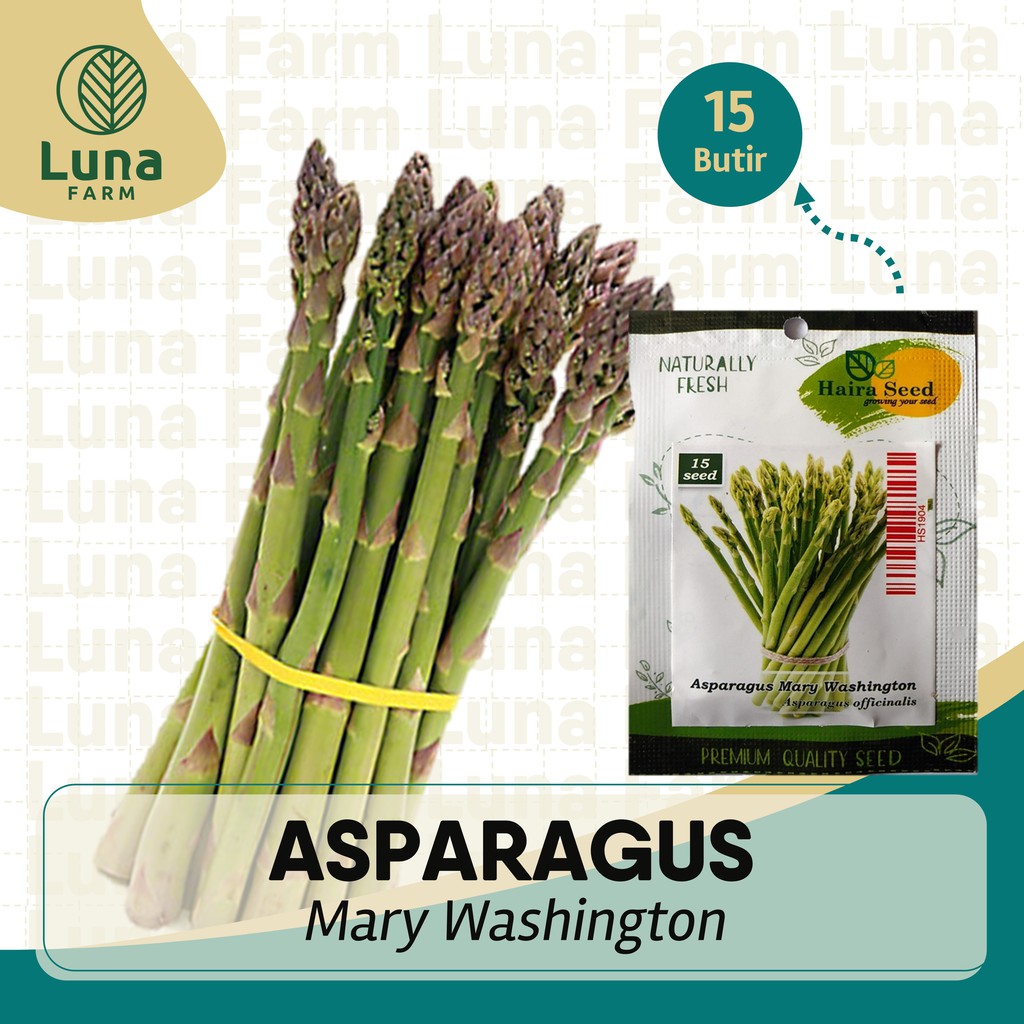 Jual Benih Asparagus Mary Washington Haira Seed Kemasan Urban Isi 15 ...