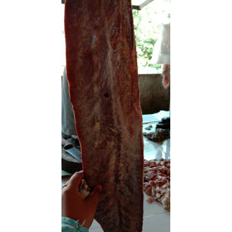 Jual Limpa Sapi Segar | Shopee Indonesia