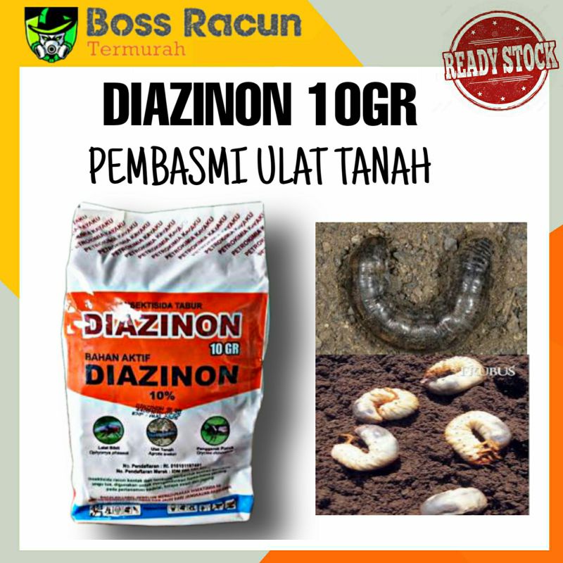 Jual Diazinon 10gr 1kg Insektisida Obat Pembasmi Hama Tanaman Ulat ...
