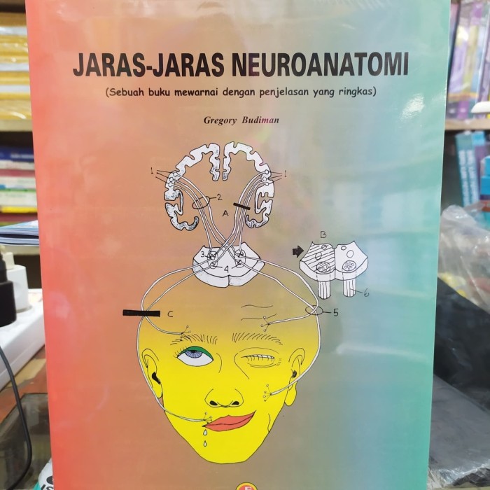Jual Jaras-jaras neuroanatomi original | Shopee Indonesia