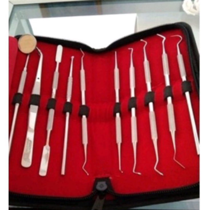 Jual Dental Instrument Kit Diagnostik Stainless Steel Set isi 10pcs ...