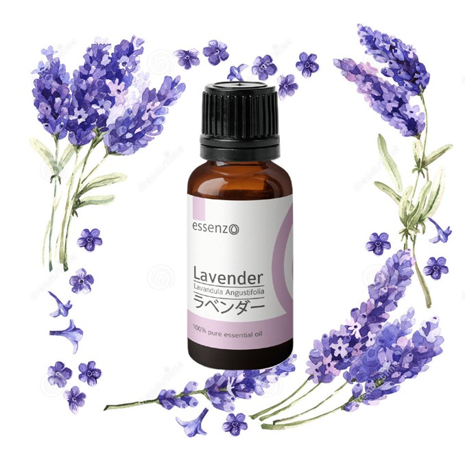 Jual EKSTRAK BUNGA LAVENDER ( MERAWAT LUKA ) | Shopee Indonesia
