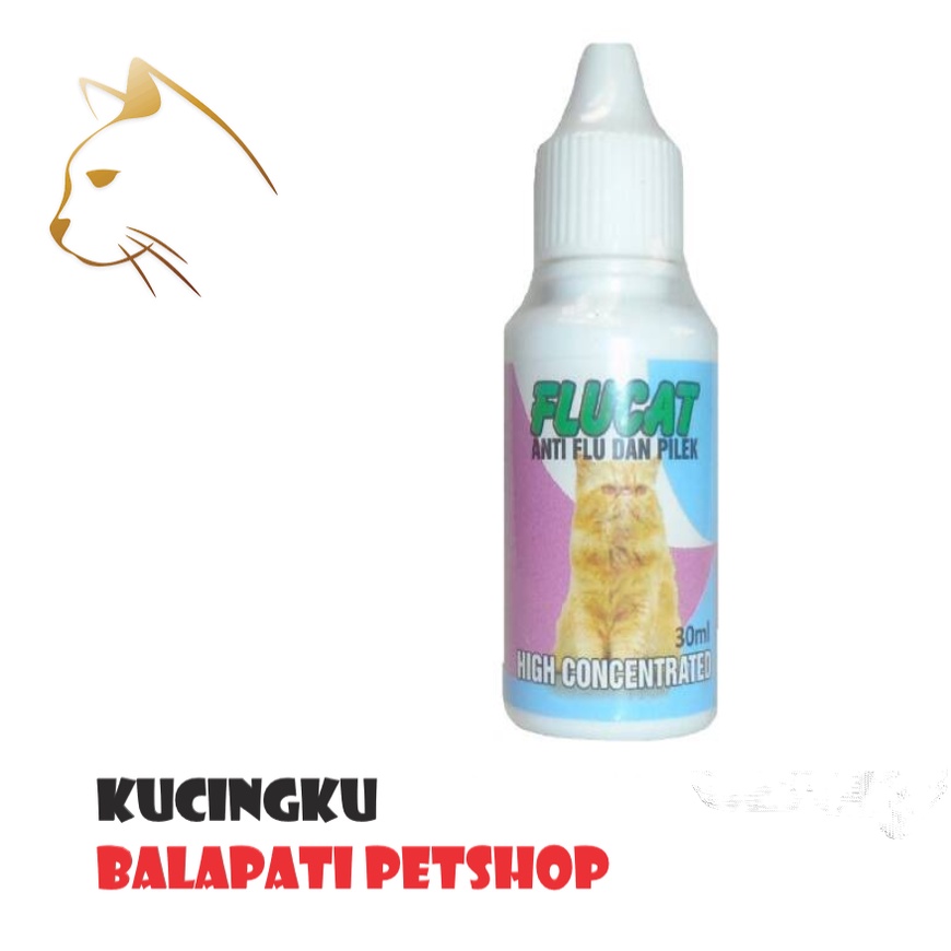 Jual Flu Cat Obat Flu Kucing Pilek Ingusan Bersin Hidung Berair ...