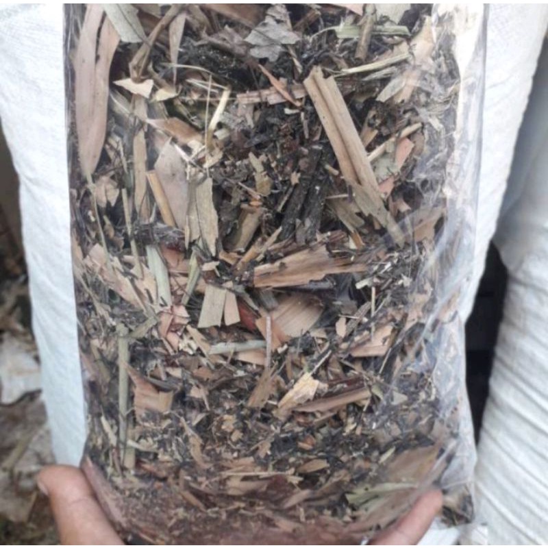 Jual Media Tanam Daun Bambu Humus 500 Gram | Shopee Indonesia