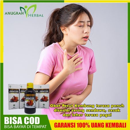 Jual Obat Pusing, mual, pandangan buram, dan sering sendawa Herbal asam ...