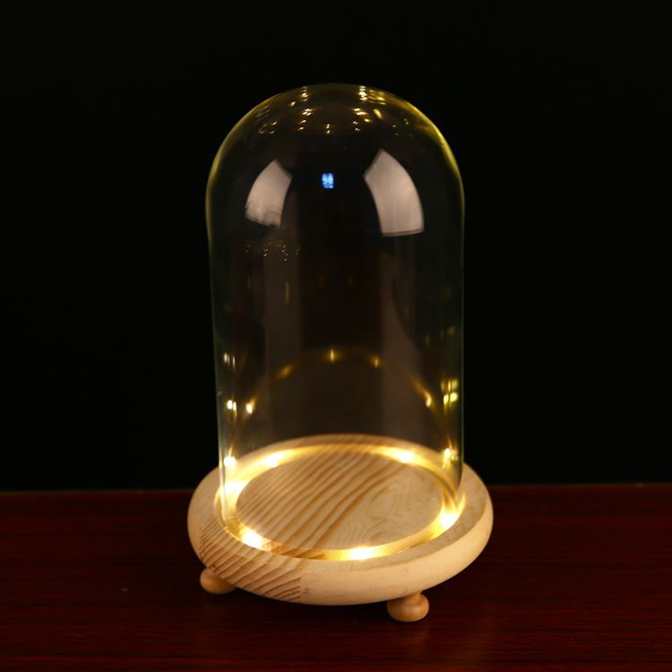 Jual Vas Bunga Kaca Glass Dome Bunga LED Jar Kubah | Shopee Indonesia