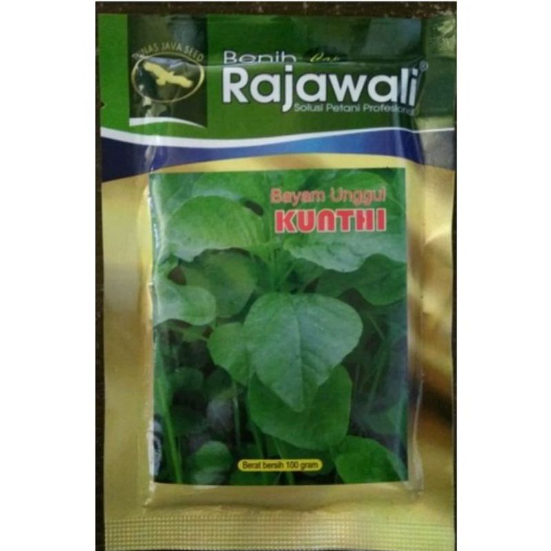 Jual 100gr BIJI BENIH BAYAM SUPER UNGGULAN CAP "KUNTHI" SIAP TANAM DAUN ...