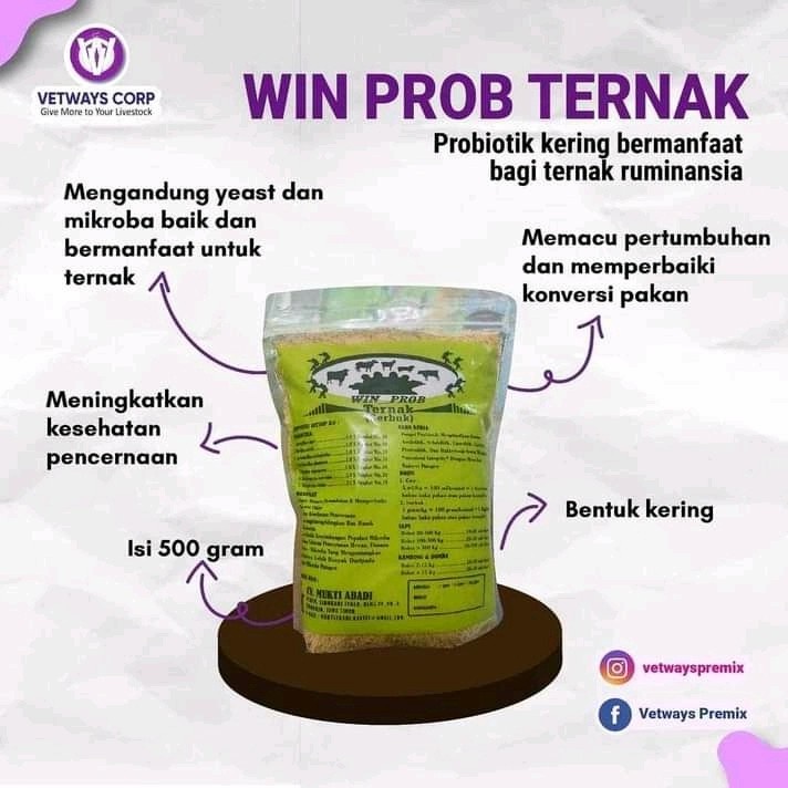 Jual WIN PROB (kering) probiotik berkualitas untuk ternak ruminansia ...