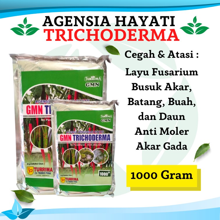 Jual Trichoderma 1 kg, Pupuk Pengendali Hayati Tricoderma Cegah Layu ...