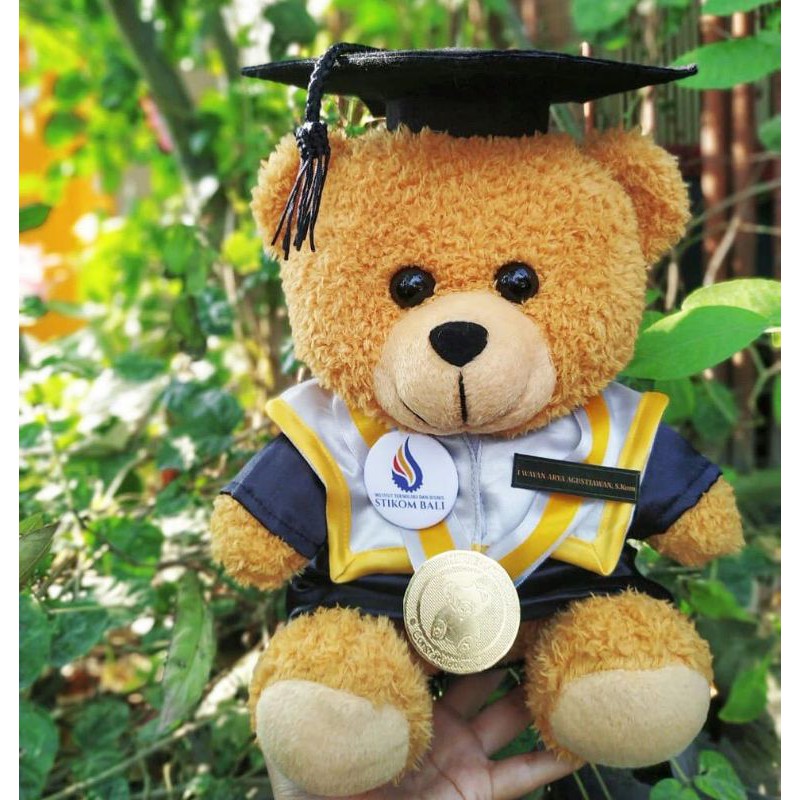 Jual Boneka wisuda small alcio 23cm (paket isi 2 boneka) | Shopee Indonesia