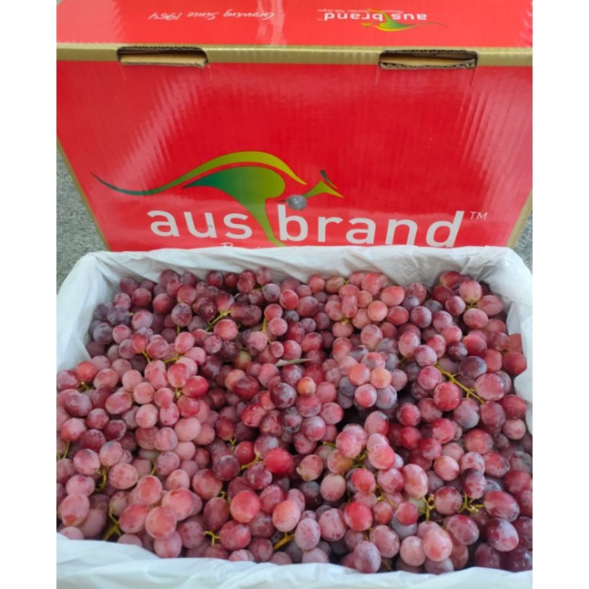 Jual Anggur Crimson | Shopee Indonesia