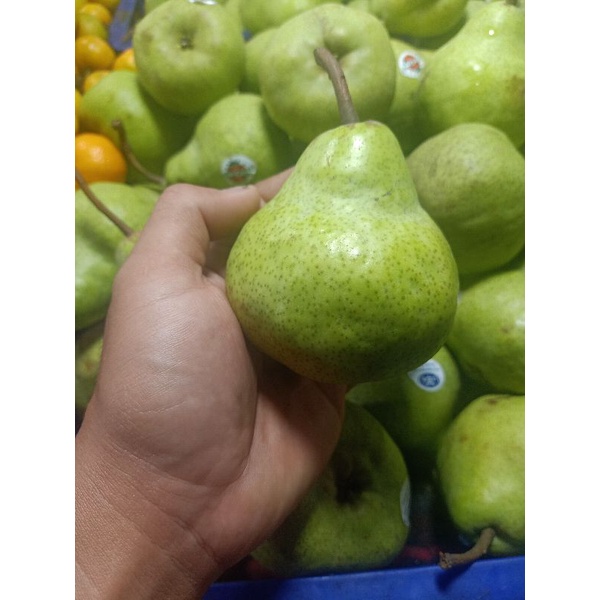Jual PEAR HIJAU 1 KG | Shopee Indonesia