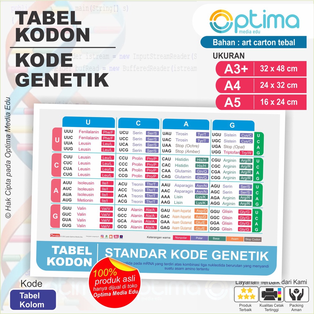 Jual TABEL KODON KODE GENETIK BIOLOGI | Shopee Indonesia