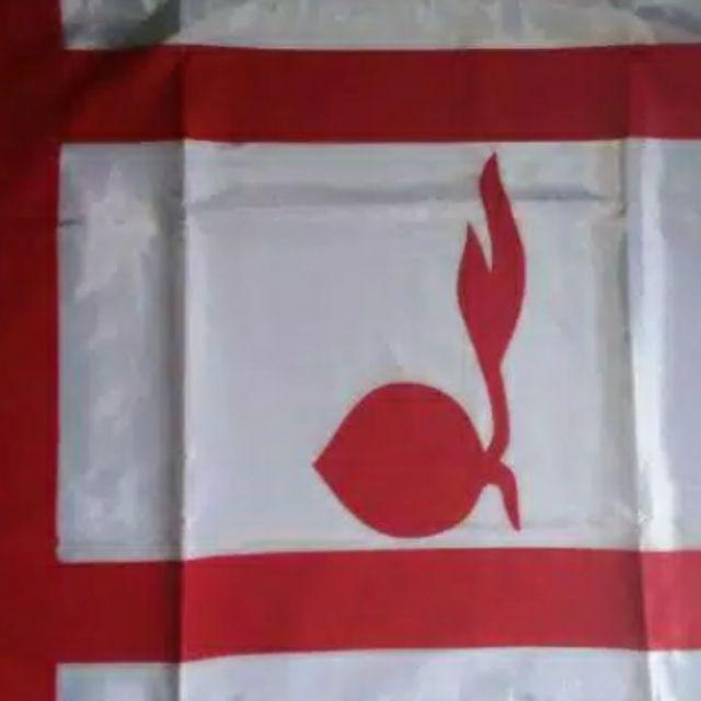 Jual Bendera plus rumbai ukuran 80x120cm | Shopee Indonesia