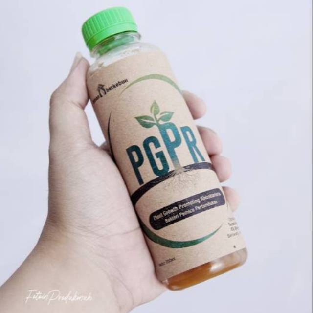 Jual PGPR (Plant Growth Promoting Rhizobacteria) | Shopee Indonesia