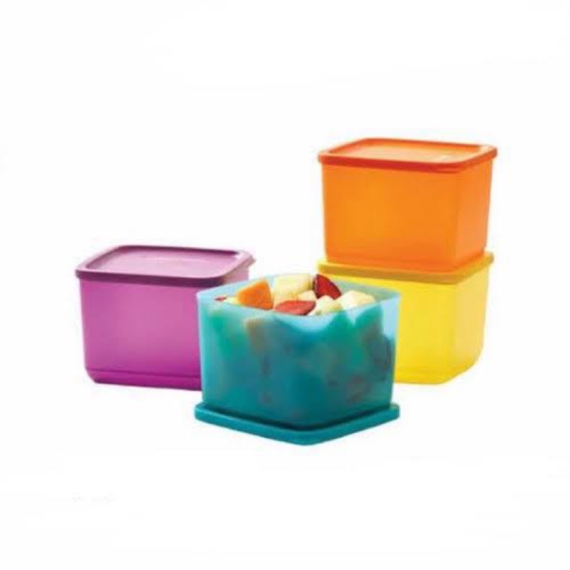 Jual Tupperware Medium Summer Fresh Set kotak makan bekal anak keluarga ...