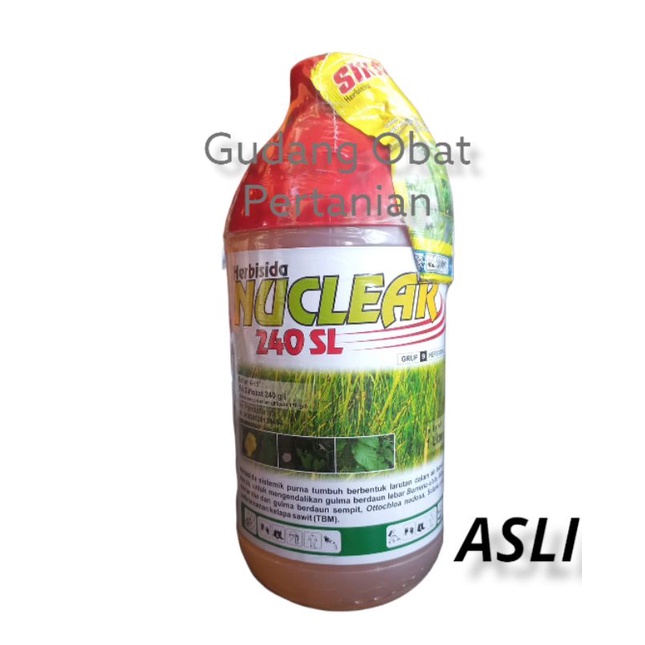 Jual NUCLEAR 240 SL / Herbisida sistemik / Racun rumput nuklir / racun ...