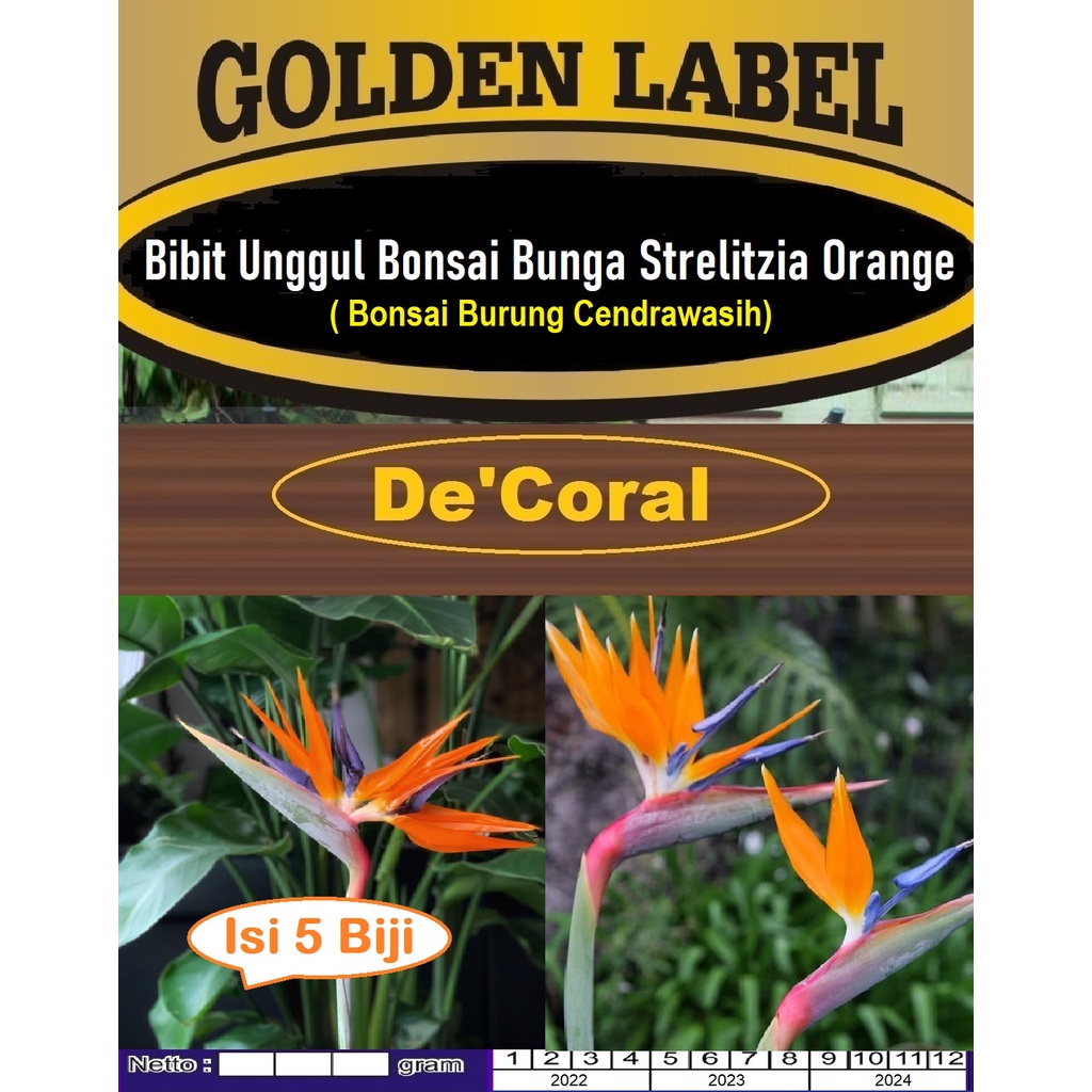 Jual Bibit Bonsai Bunga Strelitzia Orange | Benih Bunga Burung ...