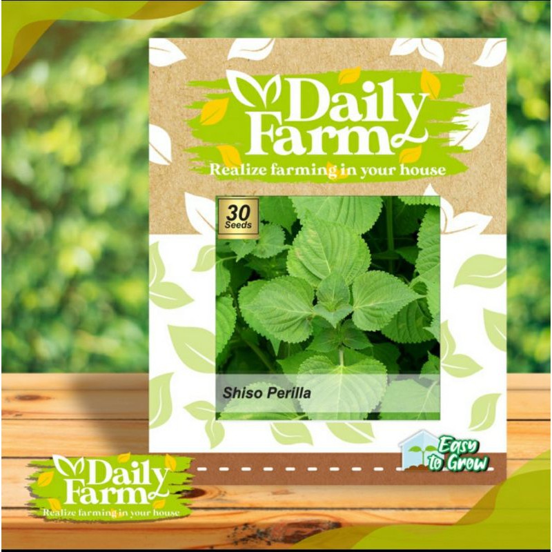 Jual Daily Farm - Benih Bibit Shiso Perilla | Shopee Indonesia