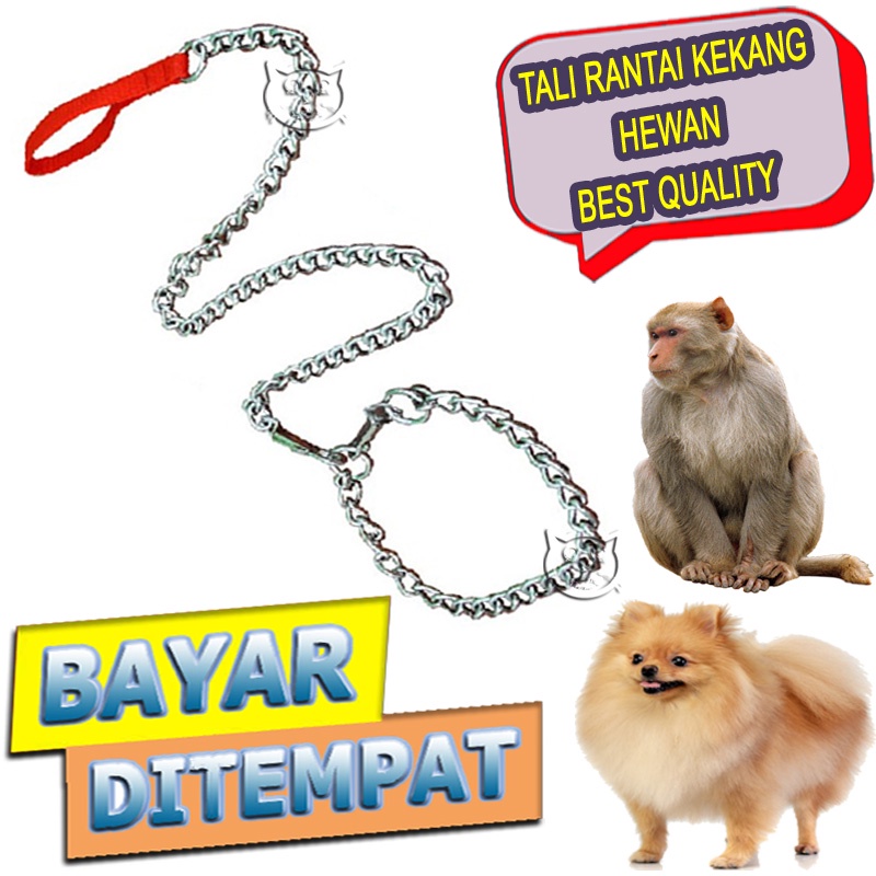 Jual Tali Rantai Kucing Anjing Monyet Musang Oter | Shopee Indonesia