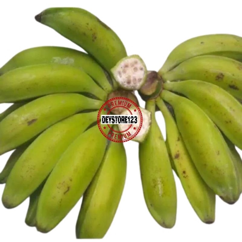 Jual PISANG BATU PISANG KLUTUK PER SISIR | Shopee Indonesia