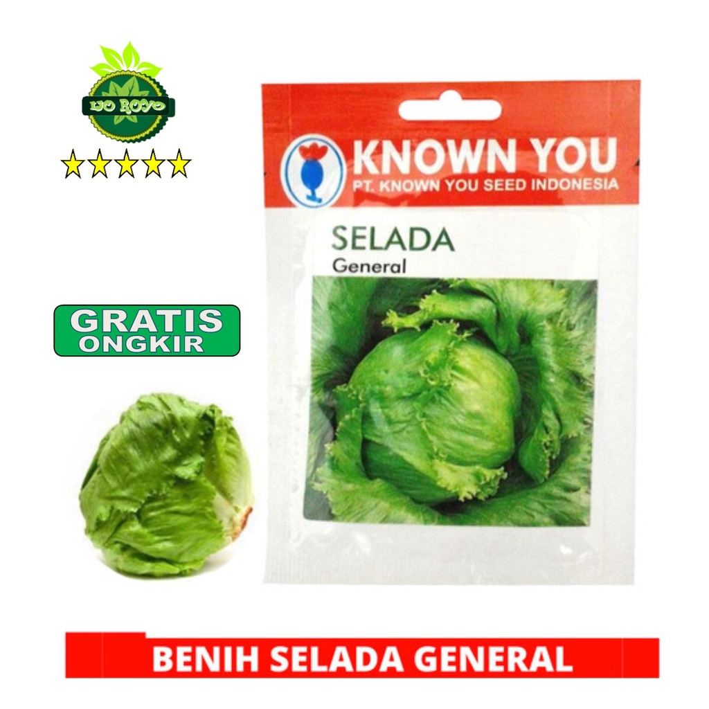Jual Benih Bibit Sayuran Selada General Head Lettuce Known You Seed ...