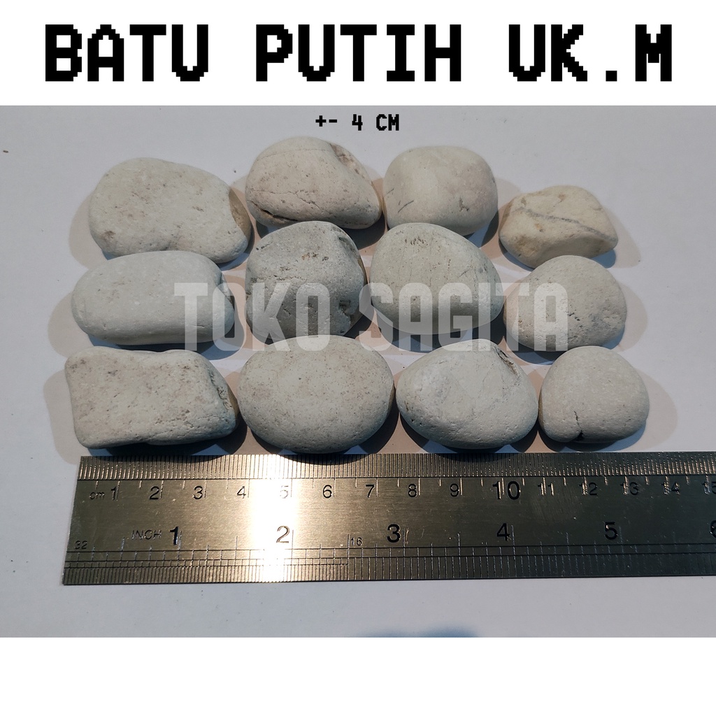 Jual Batu Alam Putih Koral Putih 1KG batu taman hiasan tanaman pot ...
