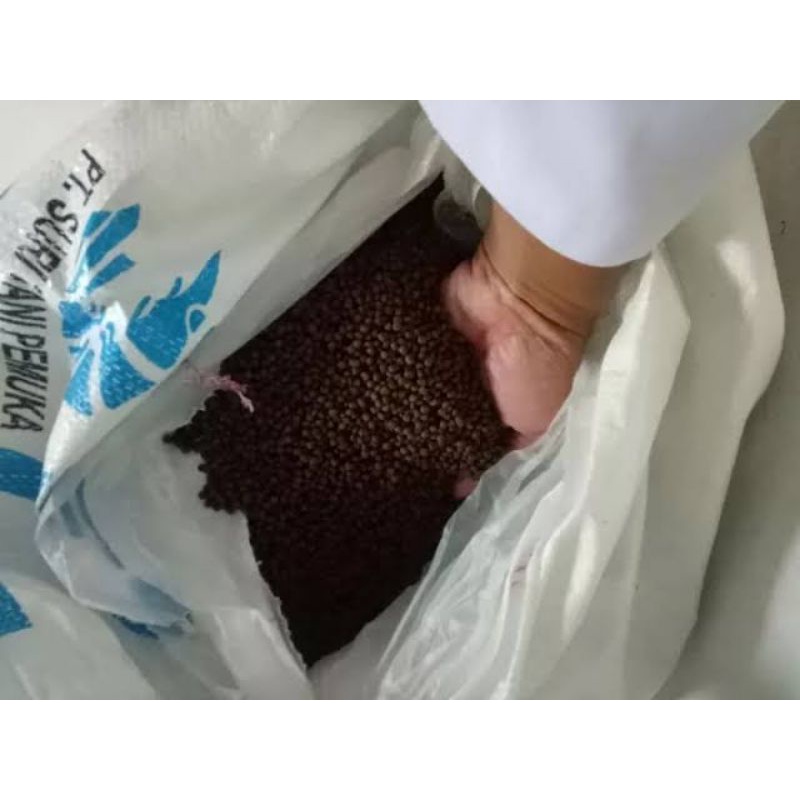 Jual SUPRA 5 MAKANAN IKAN PELET APUNG SEGELA JENIS IKAN DI EMPANG ...