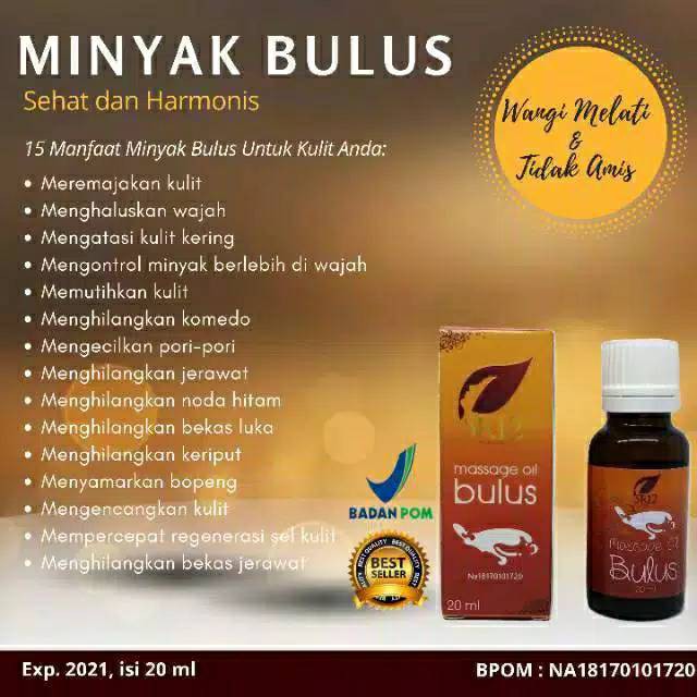 Jual Massage Oil Bulus (20ml) | Shopee Indonesia