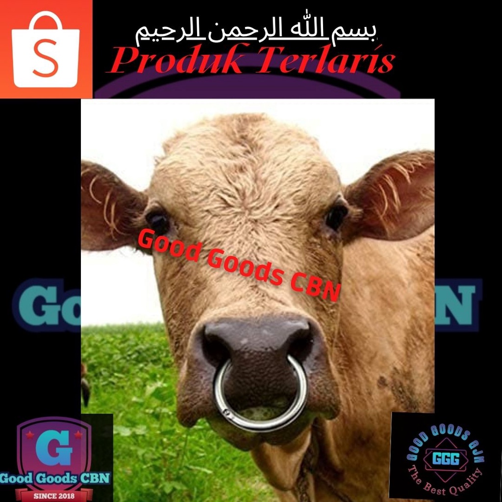 Jual Bull ring nose Stainless Bull Nose Ring | Shopee Indonesia
