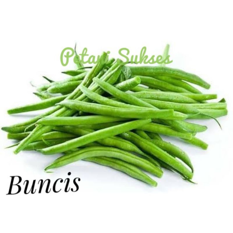 Jual (REPACK 20 BUTIR) Bibit Benih sayuran BUNCIS REPACK 20 BUTIR ...