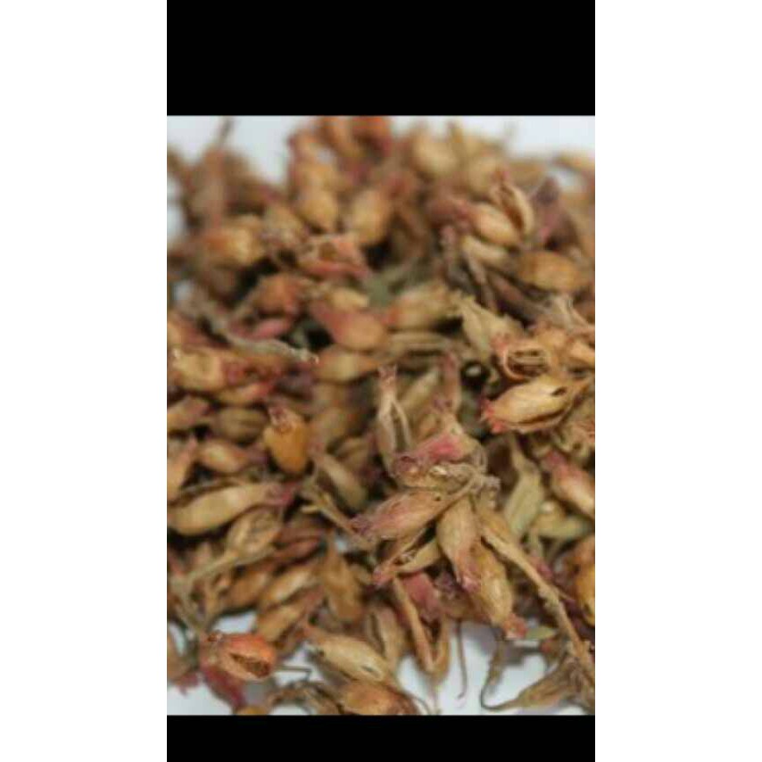 Jual bunga sidowayah kering netto 100 gram | Shopee Indonesia