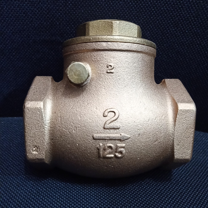 Jual Check Valve / one way Valve 2"inch KITZ ORIGINAL | Shopee Indonesia