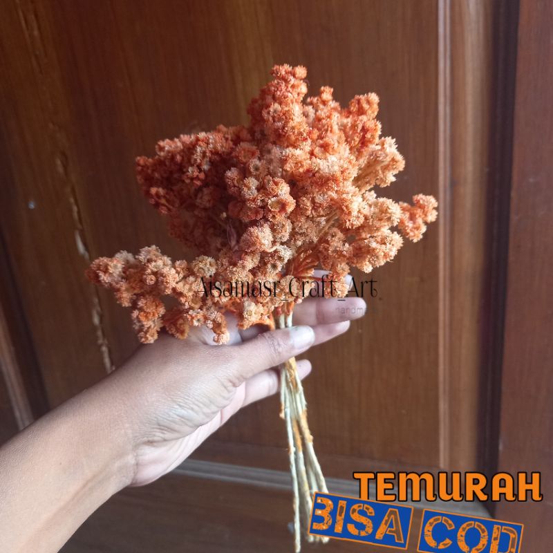 Jual bunga edwls warna sembur bahan craft pajangan vintage rustic bunga ...