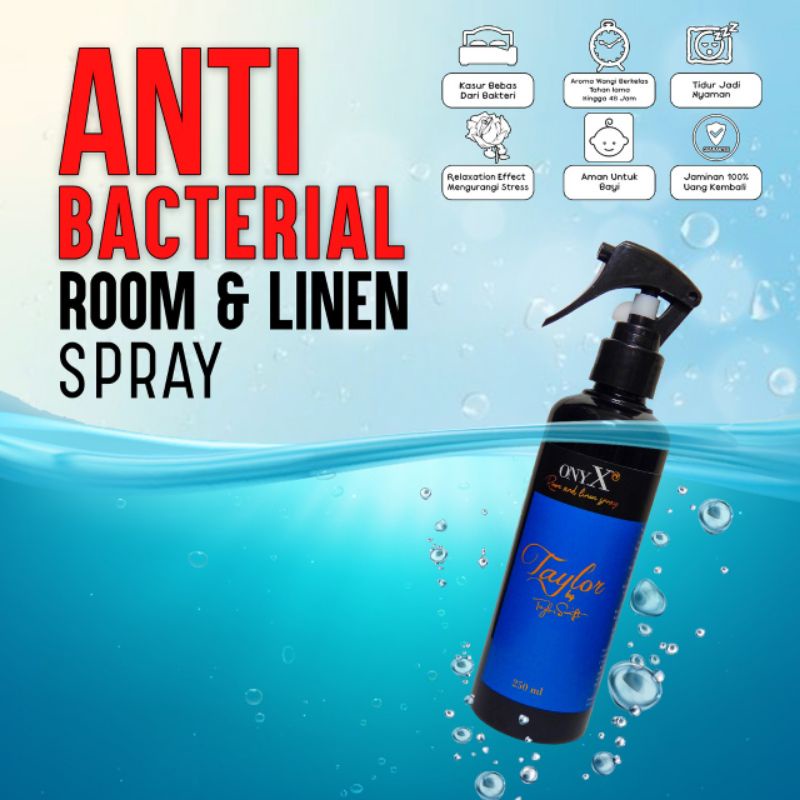 Antibac Spray Anti-Bacterial Foggers Active Car Sanitiser 100ml Anti ...