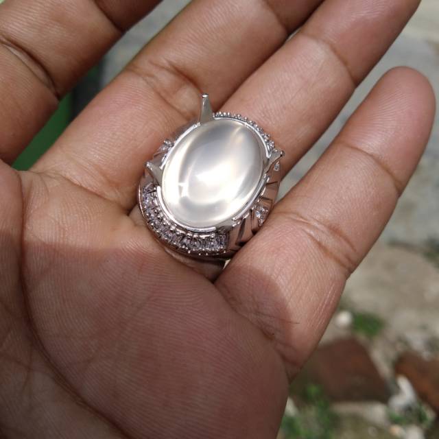 Jual Snow white king kladen pacitan | Shopee Indonesia