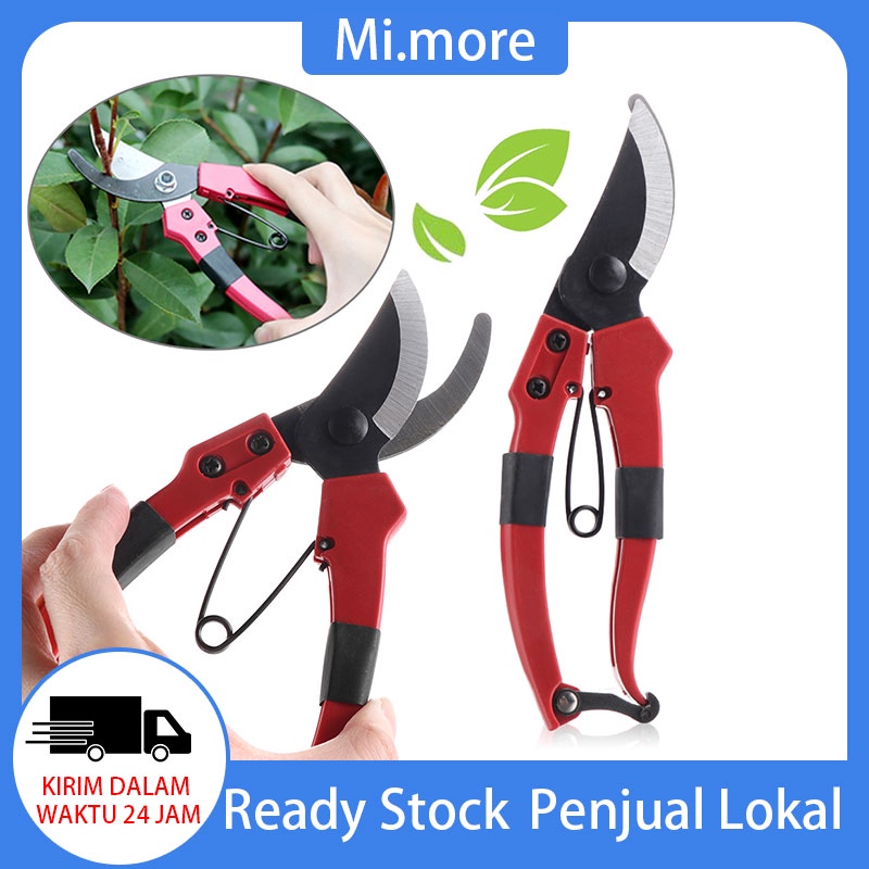 Jual Mi.more Gunting Dahan Ranting Pruning 1pc Batang Daun Tanaman Bunga Gunting Bonsai ...