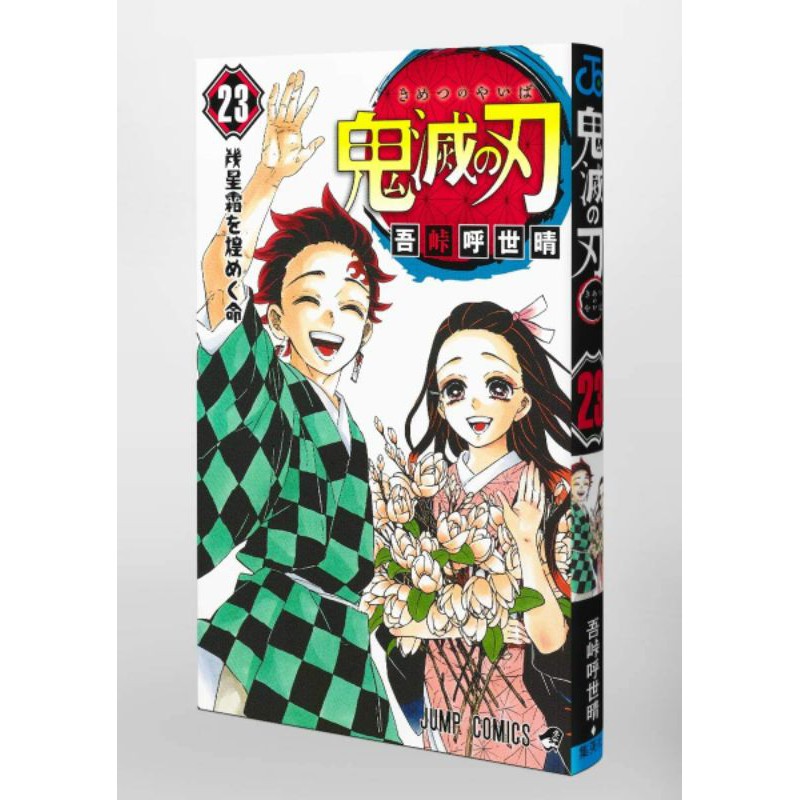 Jual Kimetsu no Yaiba / Demon Slayer Vol 22 23 (Japanese Manga ...