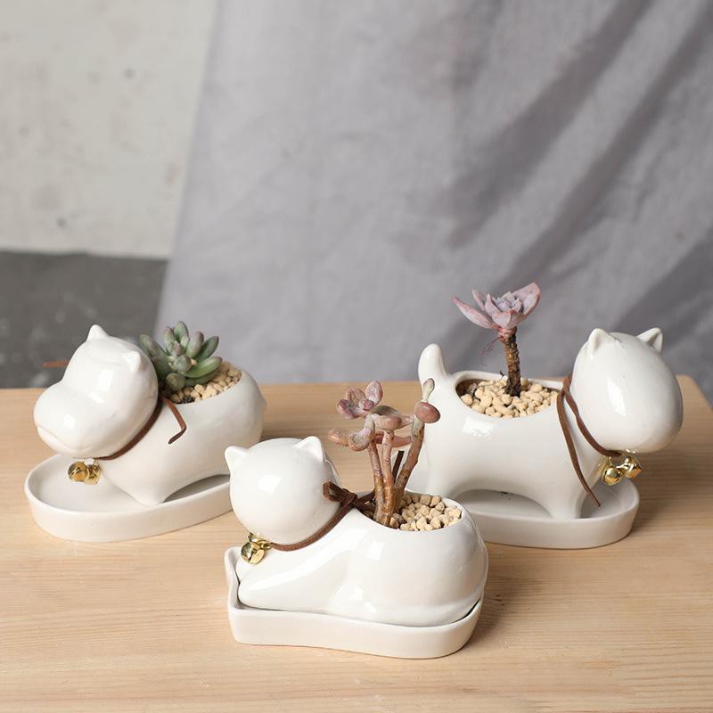 Jual pot bunga motif lucu bahan keramik dengan 2 pilhan model quality ...
