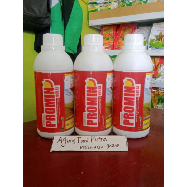 Jual herbisida purna tumbuh promin 865 SL pembasmi rumput racun rumput | Shopee Indonesia
