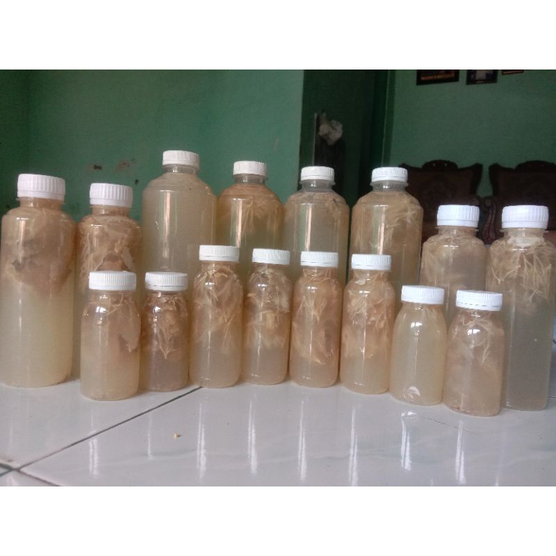 Jual PUPUK ABADI"AIR JAKABA"//Pupuk Segala Jenis Tanaman | Shopee Indonesia