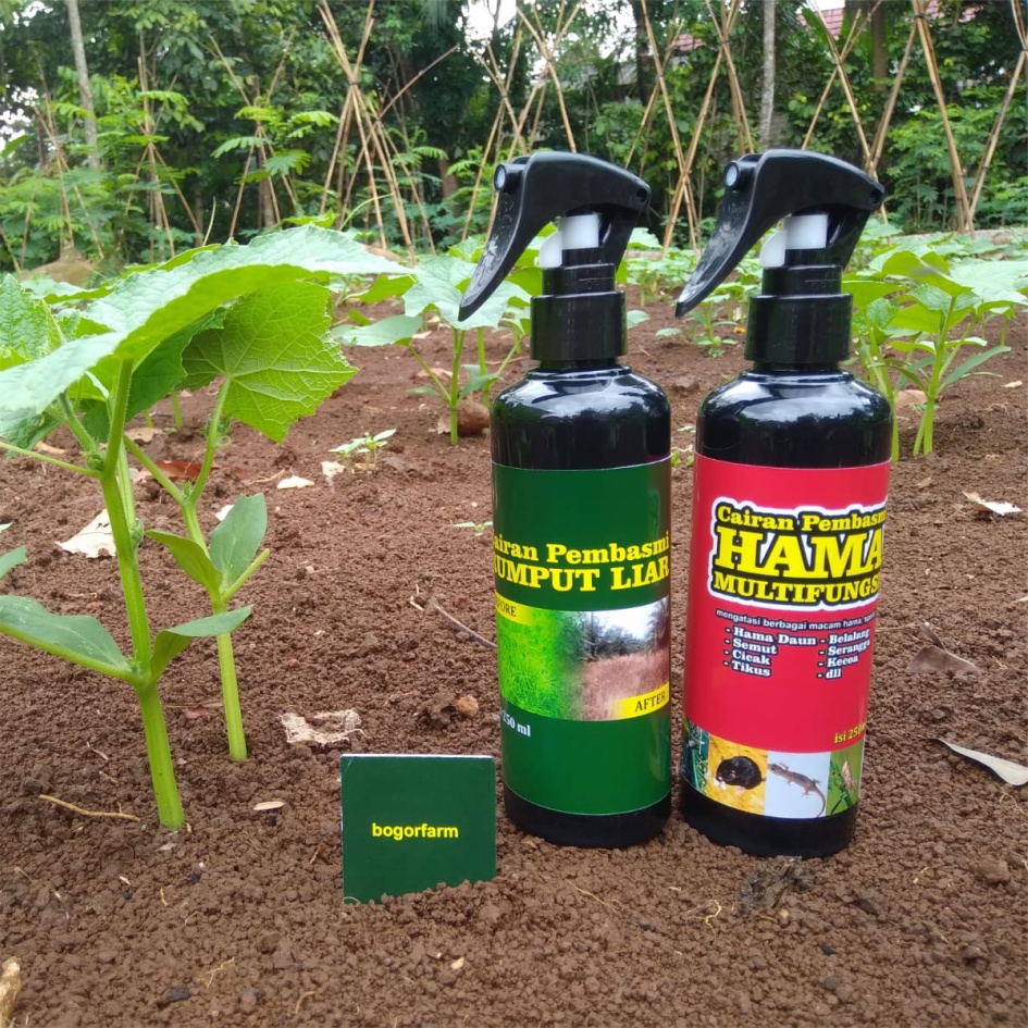 Jual (PAKET HEMAT) Racun Rumput | Racun Hama Tumbuhan | Kutu Putih ...