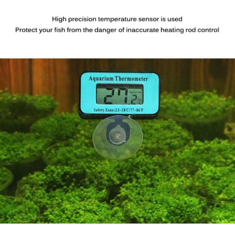 Jual THERMOMETER AKUARIUM/THERMOMETER AIR/TERMO AQUARIUM/TERMOMETER ...